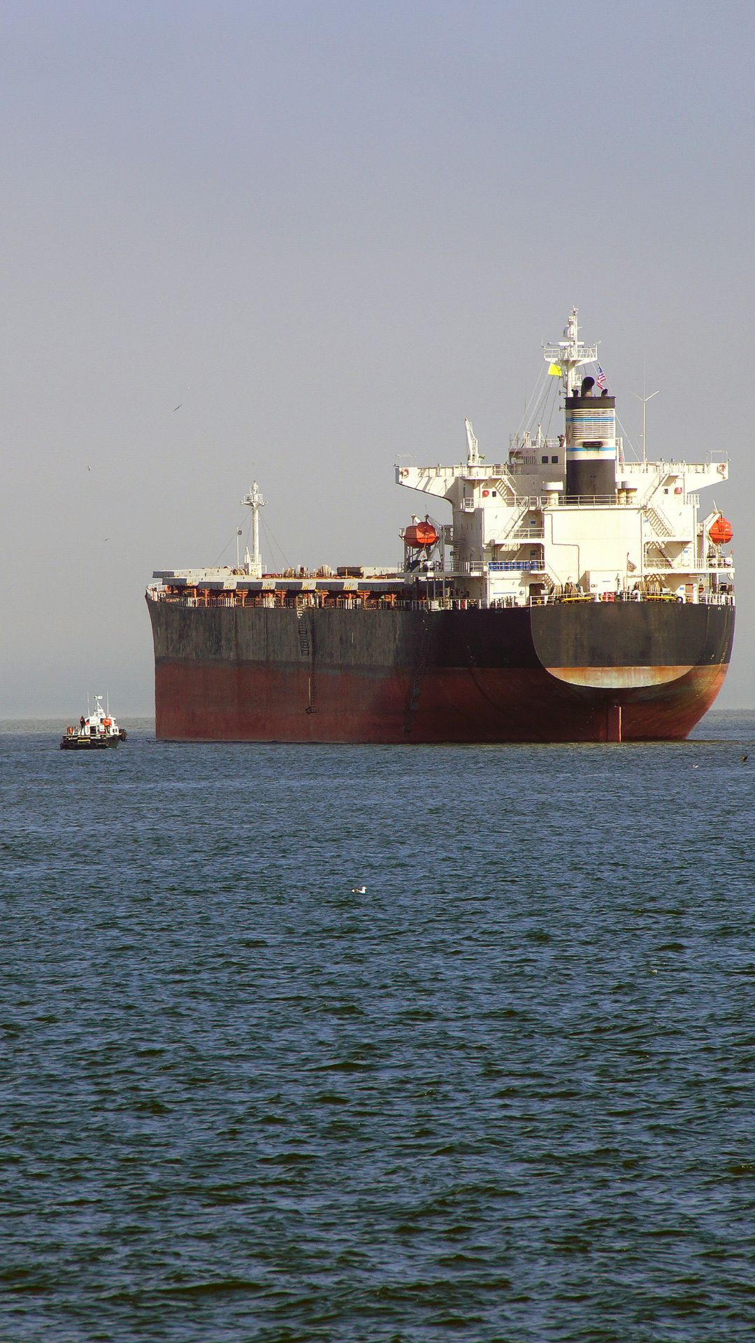 Discover the Essential Role of DWT in Shipping Efficiency