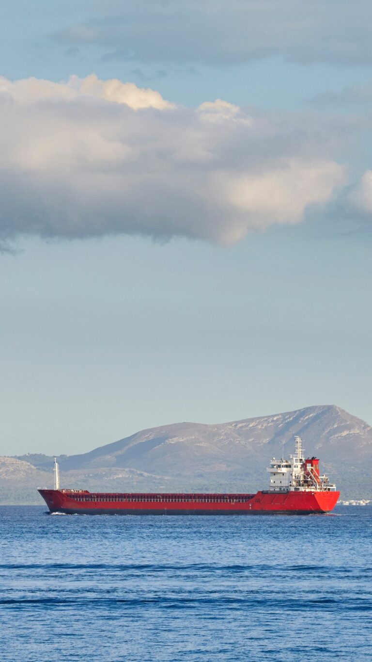 Freight Ship Charter: Types, uses and costs