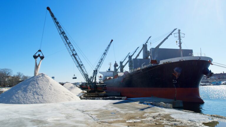 Bulk Salt Shipping: The Logistics Behind the Journey