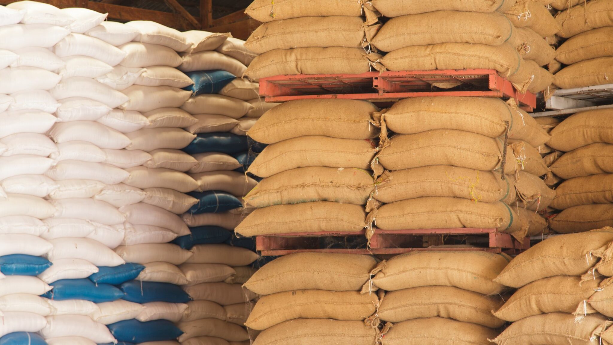 Unlocking Sugar's Role in Global Bulk Shipping